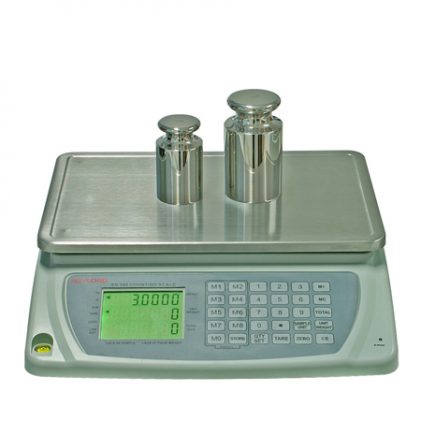 FSP Mild Steel Floor Scale • ANYLOAD Weigh & Measure