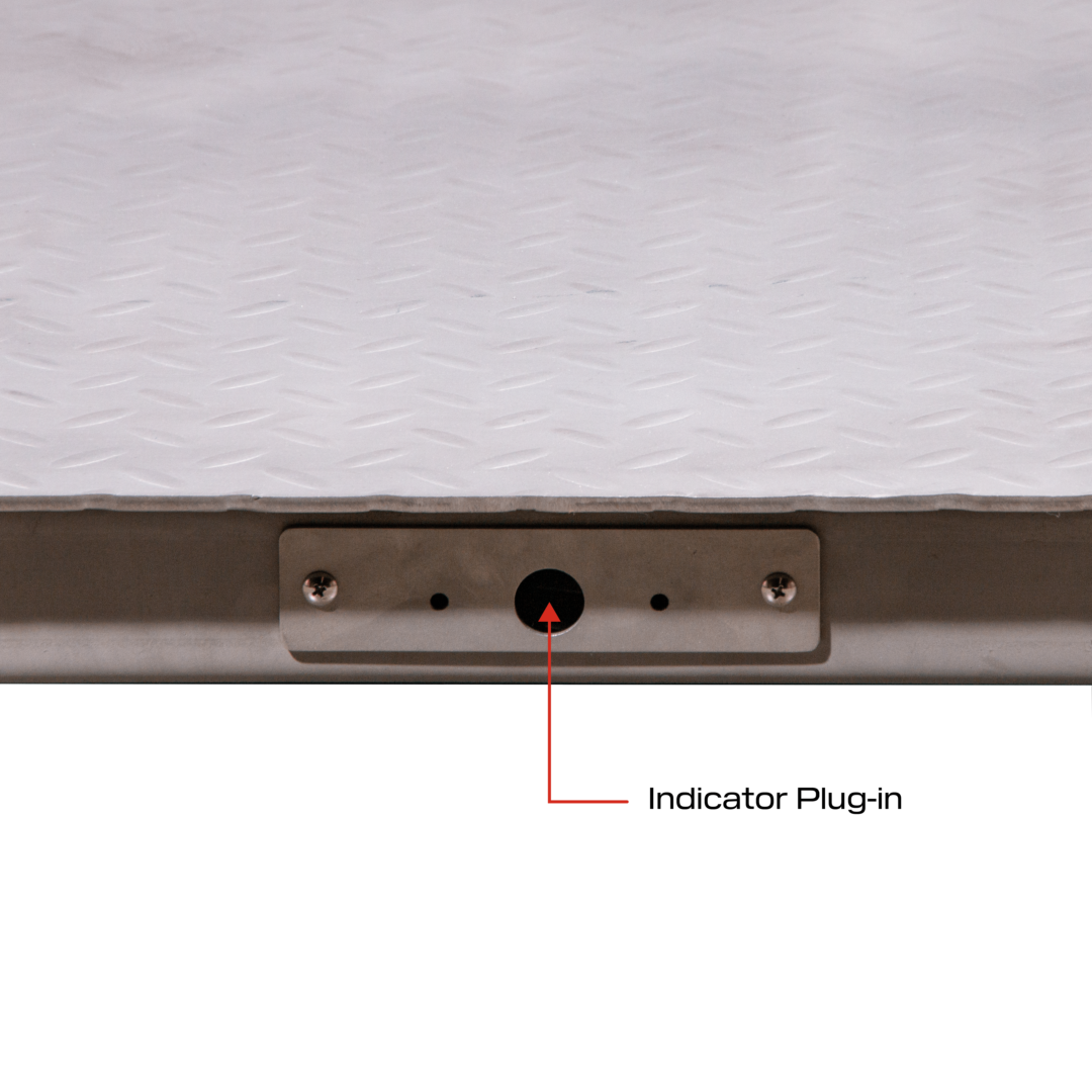 FSP-SS-S4 Stainless Steel Floor Scale