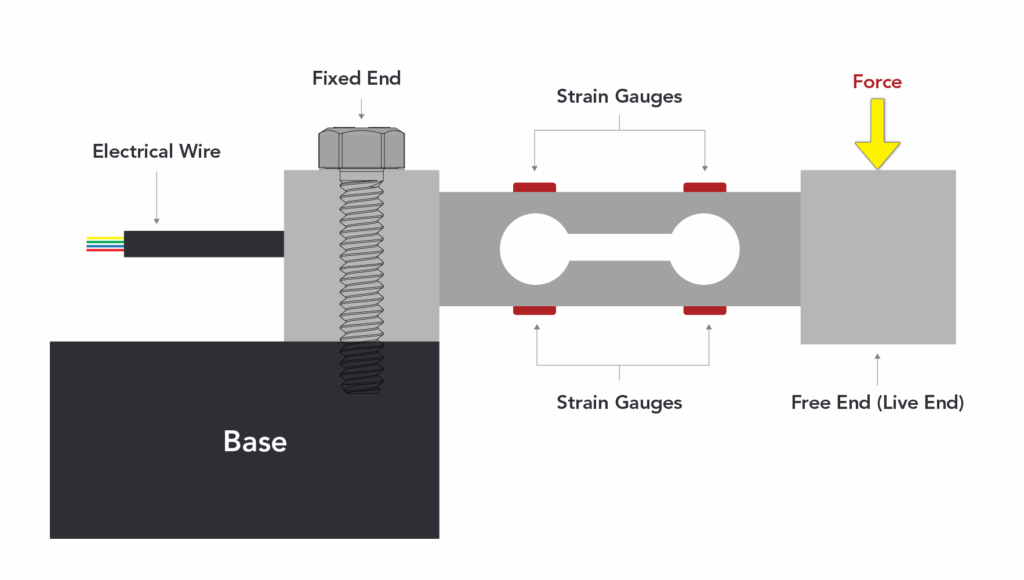 How Does a Load Cell Work? - ANYLOAD Weigh & Measure