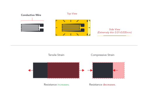 Strain Gauge - ANYLOAD Weigh & Measure