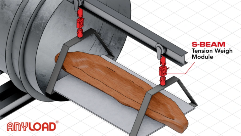 Ancient Canoe Weighing - ANYLOAD Weigh & Measure